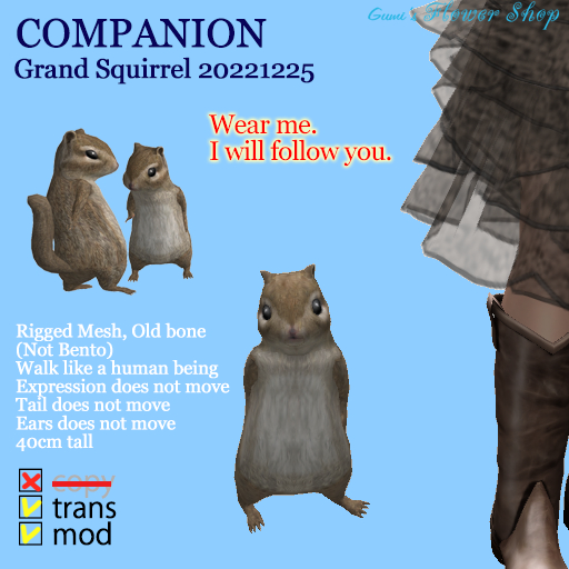 Second Life Marketplace - (g.) Companion Grand Squirrel 20221225